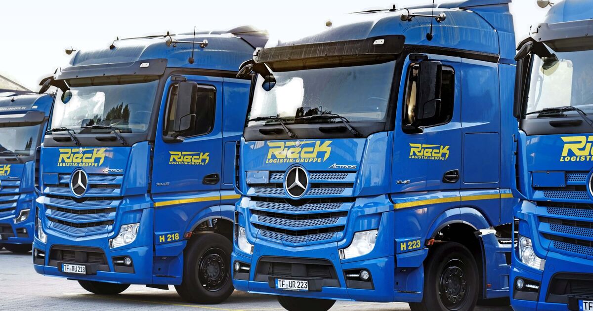 Rieck Logistik-Gruppe: Mitten in der Transformation - eurotransport